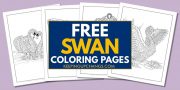 19+ Free Swan Coloring Pages, Sheets [POPULAR Printables!]