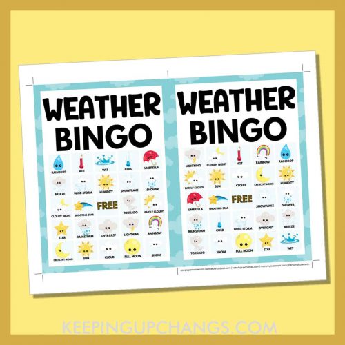 Weather Bingo Pictures & Words (5x5 & 4x4 Grid) [FREE Printables!]
